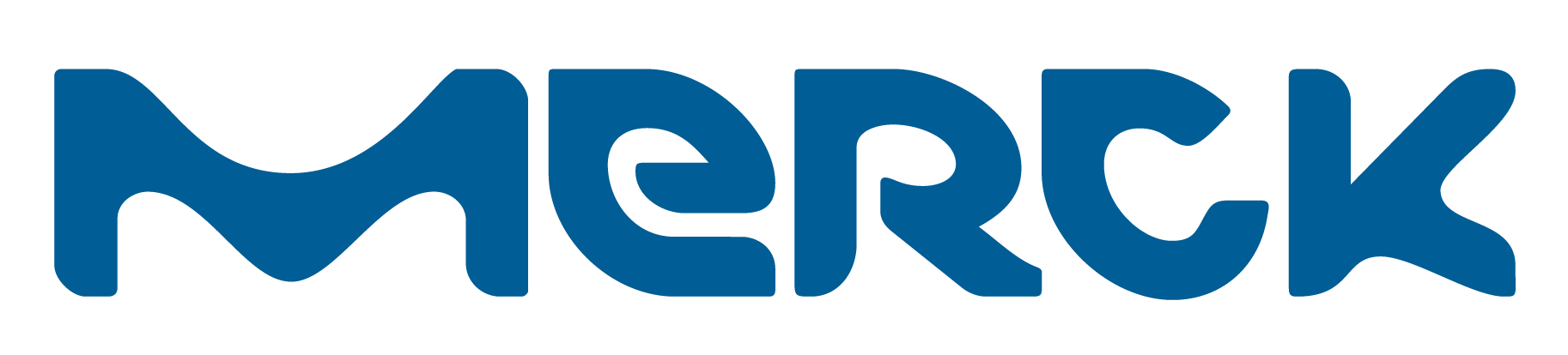 Team building México - Ludicorp - Empresa Team Building